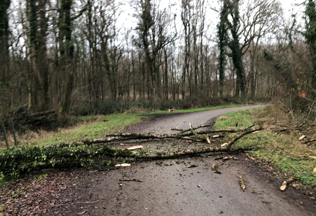 Vigilance jaune vent violent dans le Jura | Jura : toute l'info locale ...