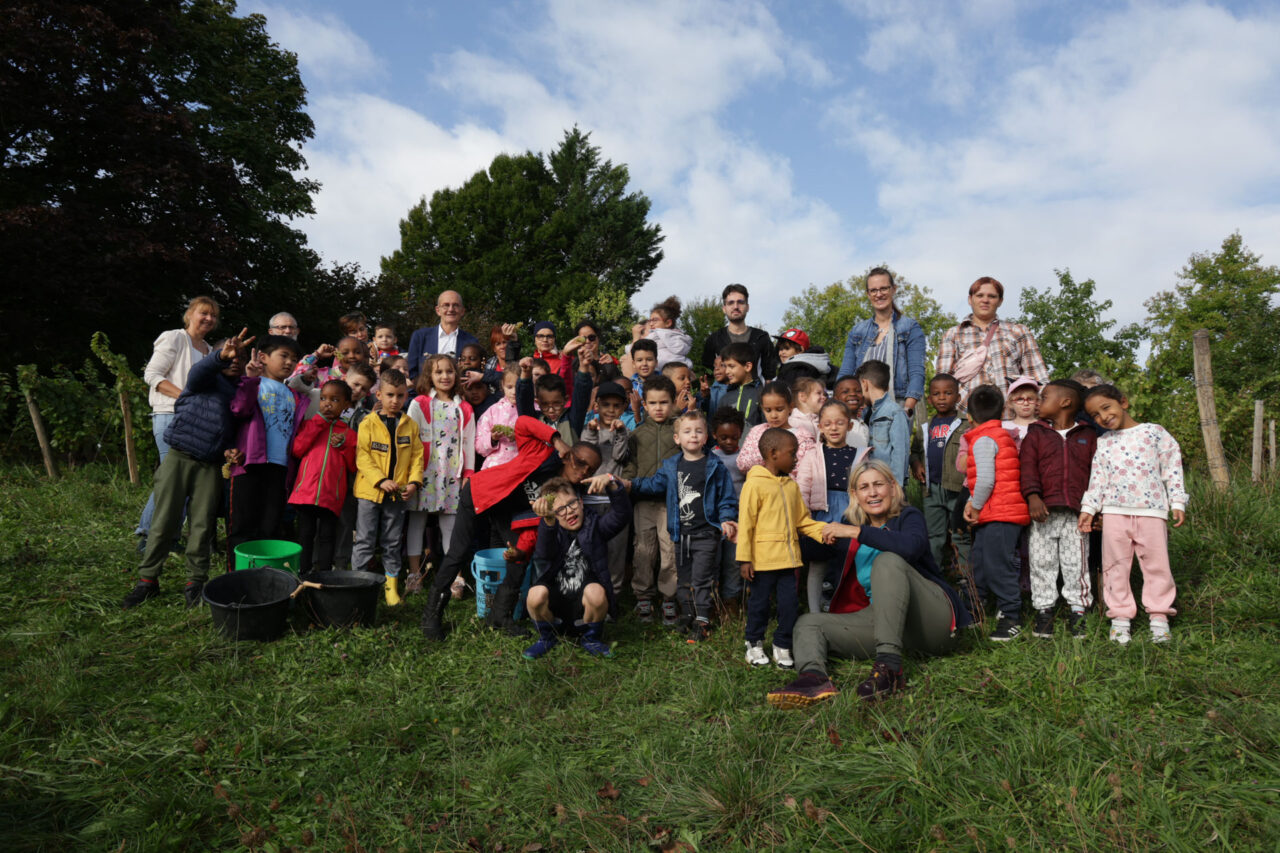 Lons-le-Saunier. Les vendanges du Clos Rouget-de-Lisle : un rendez-vous de partage et de ...